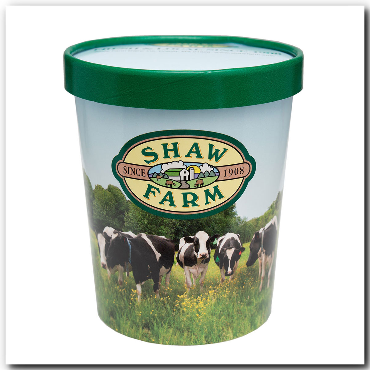 Ice Cream Cover with Shaw Farm Dracut MA - Harkins Photography